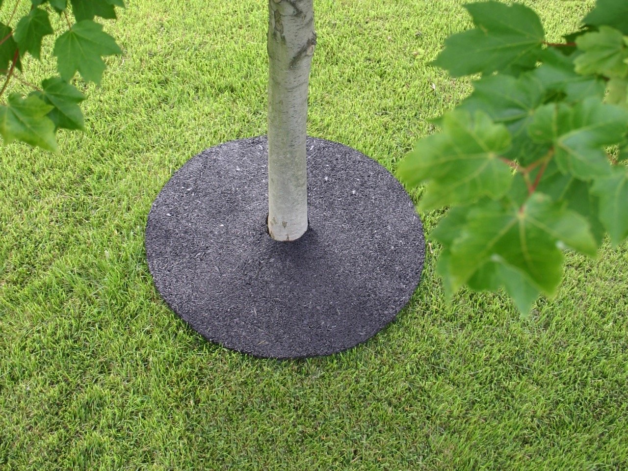 Rubberific Tree Ring - Playground Equipment Pros